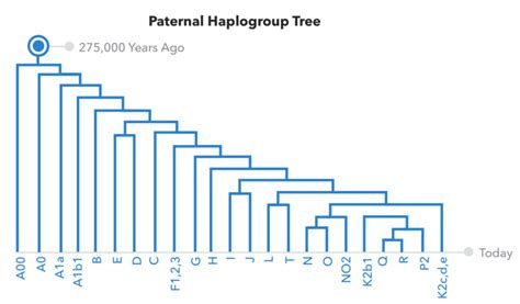 The Paternal Line Story Written In Your Dna 23andme Blog