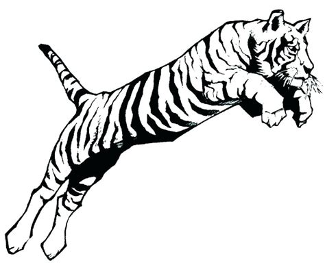 Detroit Tigers Coloring Pages At Free Printable Colorings Pages To Print And
