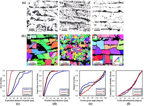 microstructural information of the test steels a optical