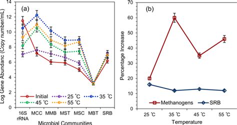 Qpcr Analysis Of Microbial Community A 16s Rrna Gene Of Eubacteria Download Scientific