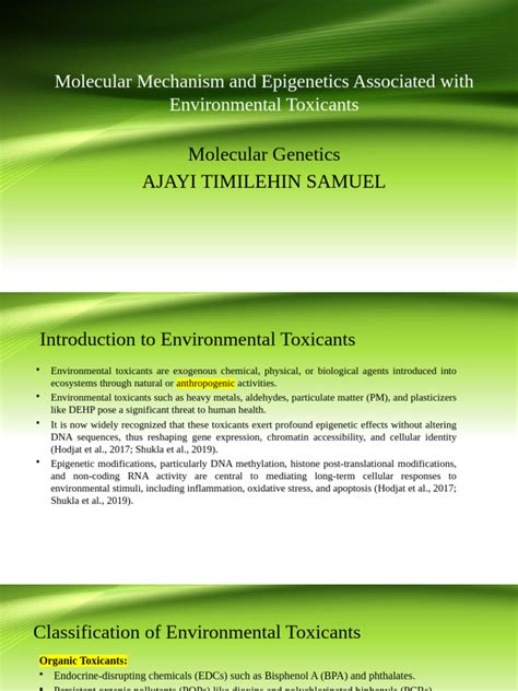 Environmental Toxicants Pdf Reactive Oxygen Species Epigenetics