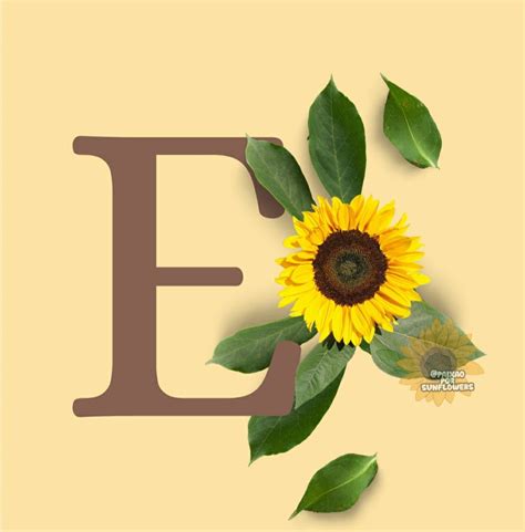 Letra E Girass Is Flor Girassol Girassol