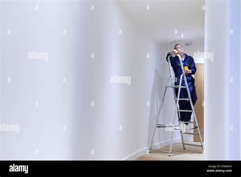 Female Electrician Installing Lights In Ceiling Stock Photo Alamy