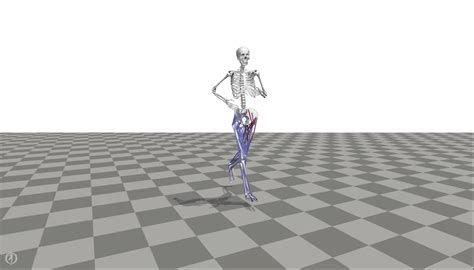 Hilal Ahmad On Linkedin Getting 3d Kinematic And Kinetic Using Smartphones Only