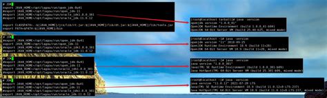 Jdk、hadoop、hive 的多版本切换 Have The Good Day