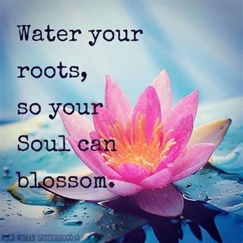 17 Best Quotes About Roots Ideas Quotes Inspirational Quotes Words