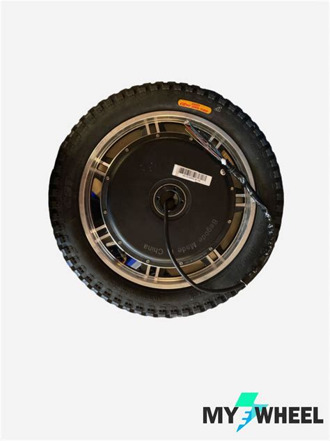 Begode Master Motor Assembly