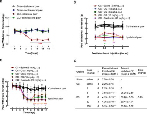 Ds Treatment Improved Sciatic Nerve Ligation Induced Chronic