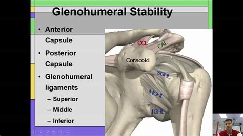 Posterior Glenohumeral Ligament