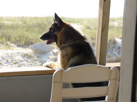 Solve Java 82108 41923 Jigsaw Puzzle Online With 30 Pieces