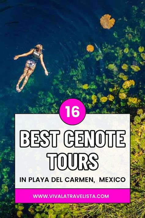 20 Best Playa Del Carmen Cenotes To Visit In 2023 Artofit