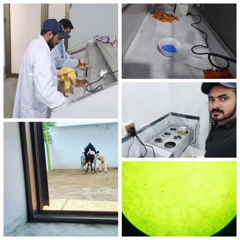 Faheem Ur Rahman On Linkedin Passionproject Lovewhatido