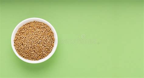 Yellow Mustard Seeds In Bowl Sinapis Alba Stock Image Image Of Sinapis Properties 338754647