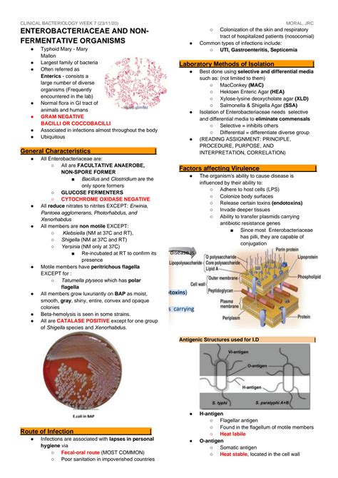 Solution Enterobacteriaceae With Lab Tests Algorithm And Mnemonics
