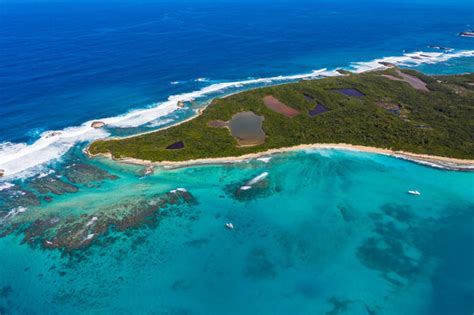 Icaco Bilder Stock Fotos And Videos Adobe Stock