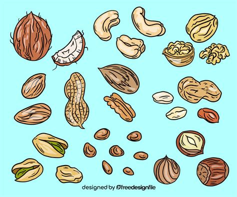 Nuts Vector Free Download