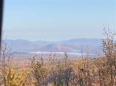 My Dream Diary Medium