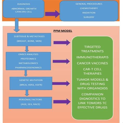 Traditional Versus Ppm Model For Cancer Treatment 5 6 20 Download Scientific Diagram