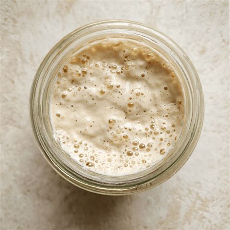 Easy Beginner Sourdough Starter Recipe Start Your Bread Baking Adventure