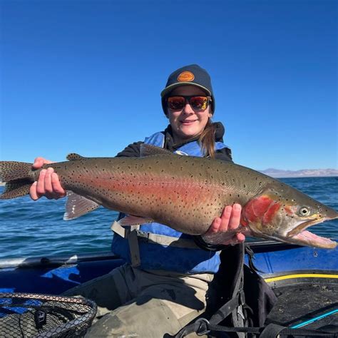 About Pyramid Lake Pyramid Fly Co Pyramid Fly Co Premier Fly