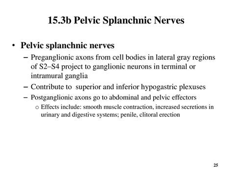 Chapter 15 Lecture Outline Ppt Download