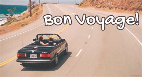 Bon Voyage S 55 Images Animées