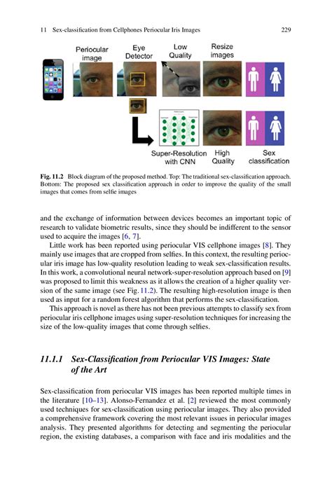 selfie biometrics advances and challenges willington island page