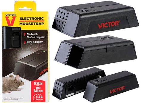 5 Best Electronic Mouse Traps in 2025 That Actually Work