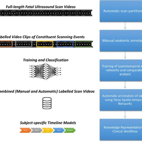Outline Of The Clinical Workflow Analysis Pipeline Stepwise Approach Download Scientific
