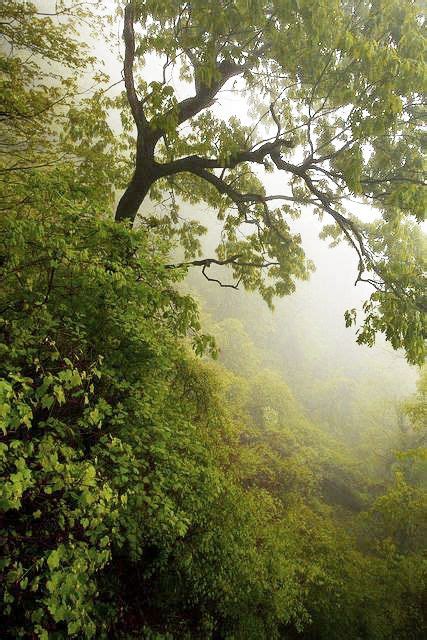 16 Best Androgynous Images On Pinterest Dark Fashion Androgynous And Androgynous Babe