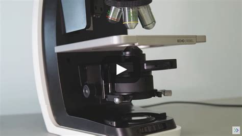 Rebel Training Videos Discover Echo