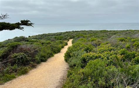 Garrapata State Park A Preserved Natural Gem South Of Carmel By The Sea Carmel By The Sea