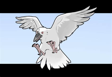 Albinoraven By Emilyleslieart On Deviantart