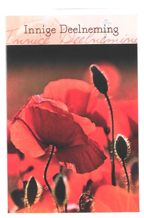 Innige Deelneming Never Ending Story