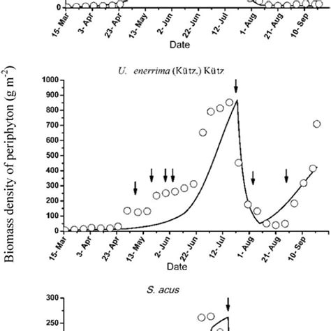 Observed And Simulated Biomass Density Values Of Three Main Kinds Of