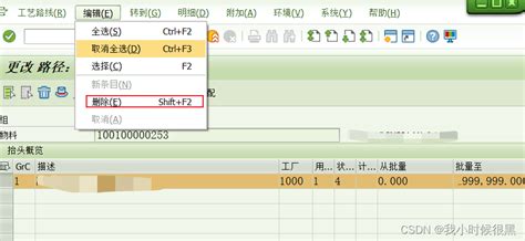 Sap 批量删除工艺路线和主配方 简介 Sap 工艺路线删除 Csdn博客