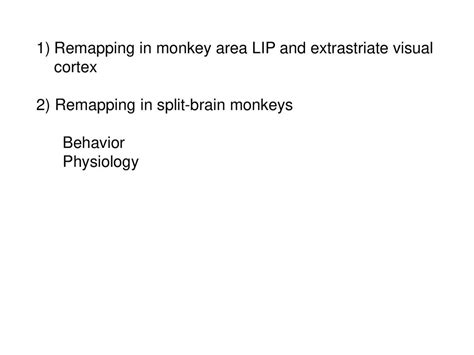 Active Vision Carol Colby Rebecca Berman Cathy Dunn Chris Genovese