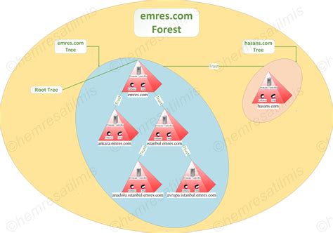 Active Directoryde Forest Ve Tree Yapısı