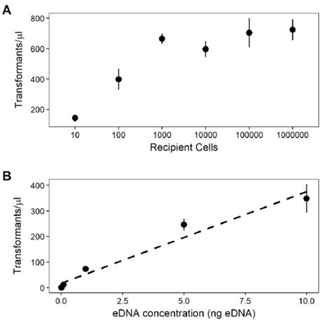 Variation In Transformation Efficiency Transformation Efficiency For