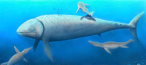 Leedsichthys Datos Y Curiosidades Peces Prehistóricos