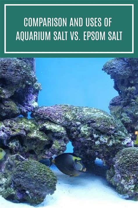 Aquarium Salt Vs Epsom Salt Comparison And Uses Artofit