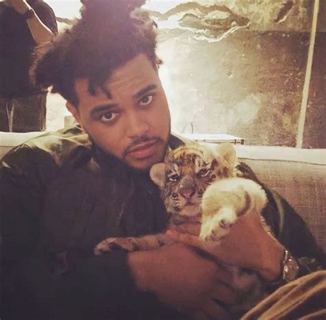 Pin On Pins By You In 2024 Abel The Weeknd The Weeknd Poster The Weeknd