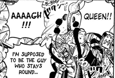 Weevil Is Actually Whitebeards Son This Will Be Revealed Next Time We See Him Because His