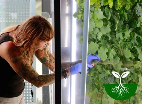 Seeding The Seed Life Span With No More Empty Pots Kiewit Luminarium