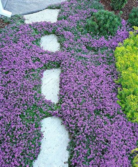 House And Lawn Artofit