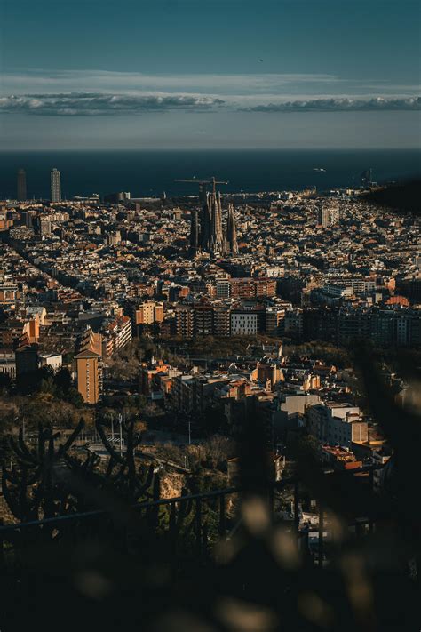 George Cristea 摄影