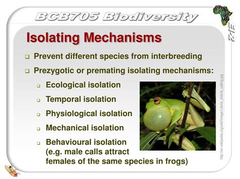 Isolation Types Evolution At Michael Birdwood Blog