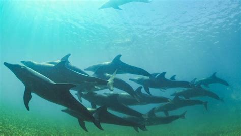 Shaun Doyle Photography