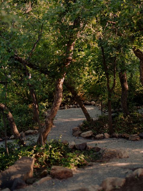 Common Pests And Bugs In Georgia Homes And Yards Mira