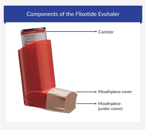 Flixotide 125 0181475 Flixotide 125 Mcg X 60 Dosis Inhalador